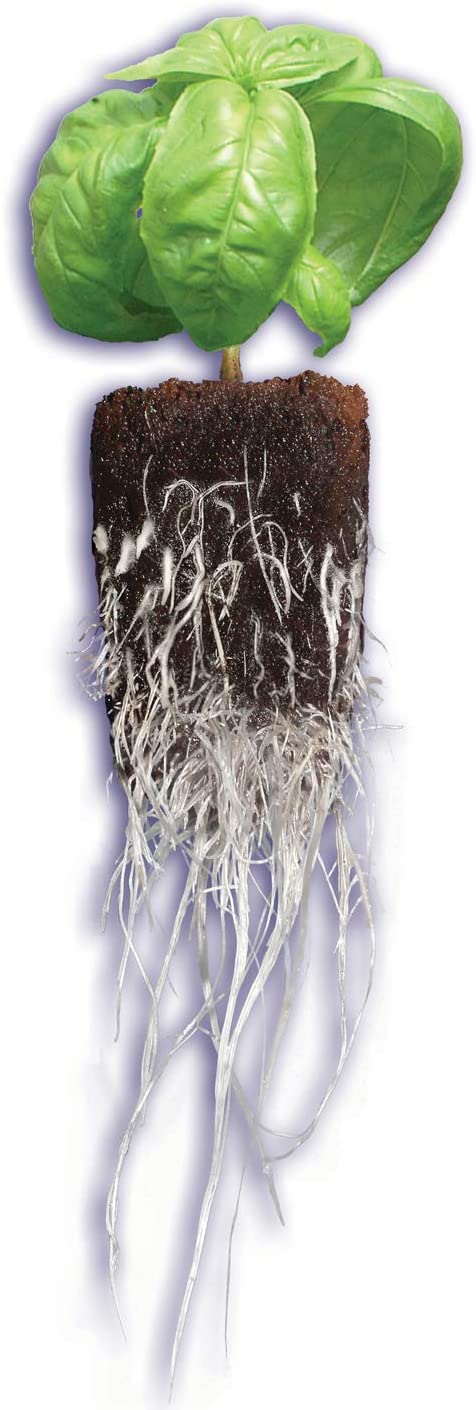 The 6 Best Seed Starting Mediums – A Comprehensive Guide – Free Life ...